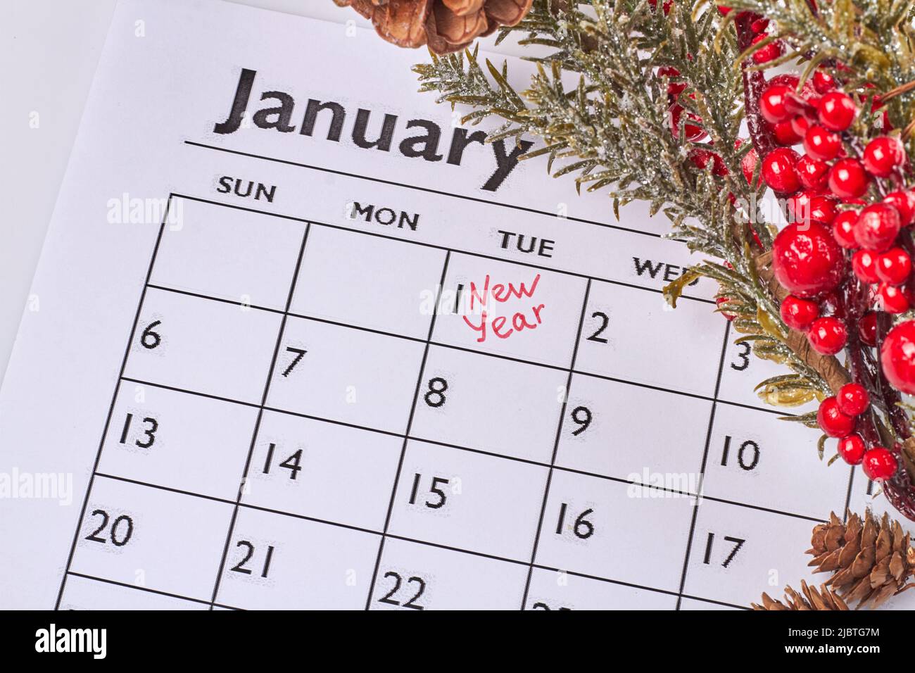 January calendar with fir-tree branch with pine tree red berries. White ...