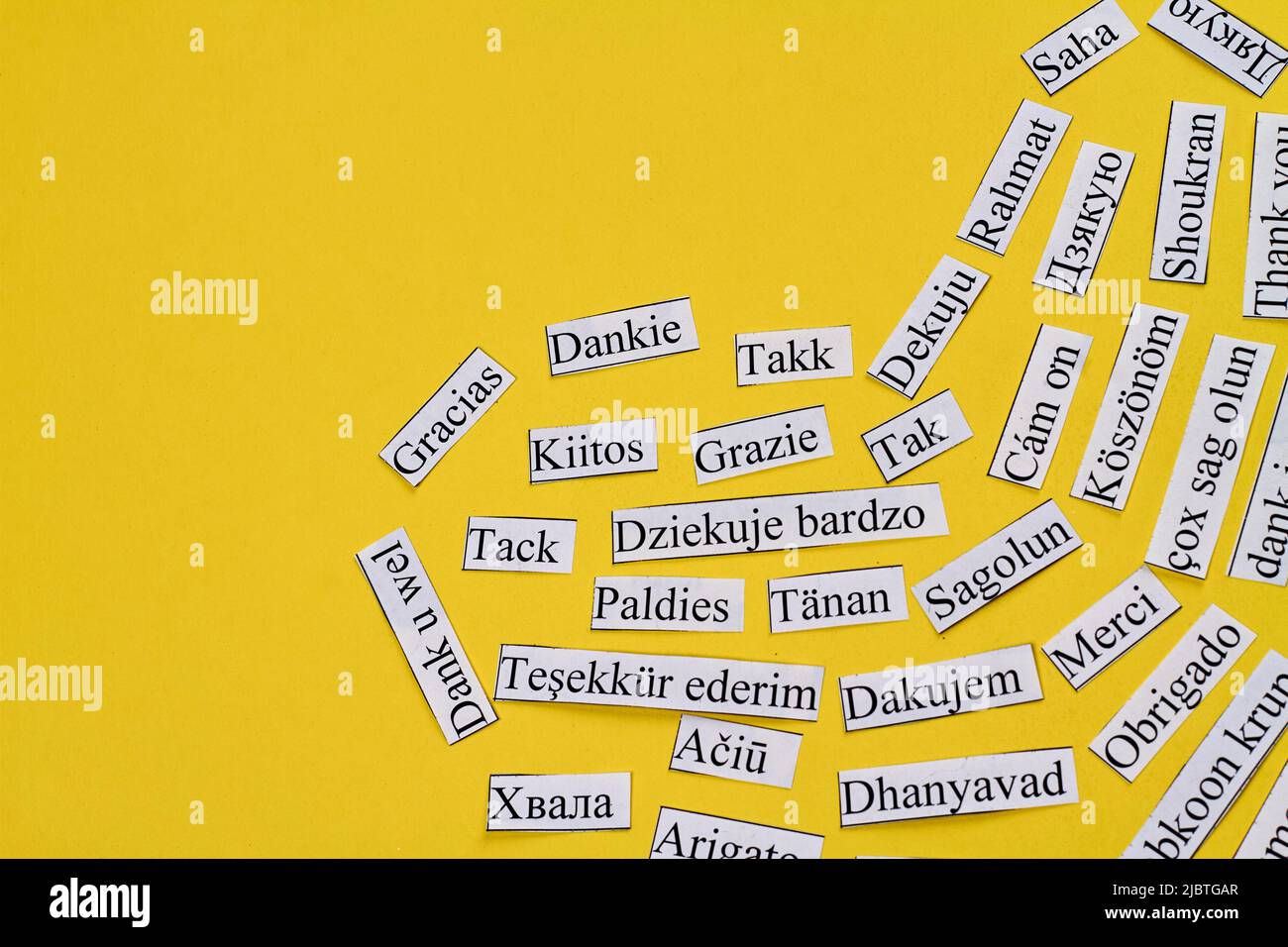 Thank you in many different languages arranged in a heart. Isolated on ...