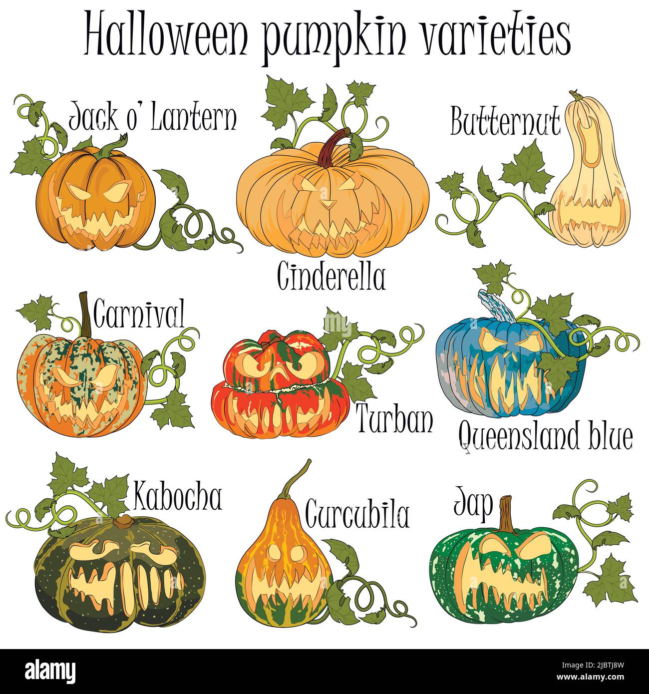 Pumpkin varieties with decoration for Halloween. Hand drawn pumpkins ...