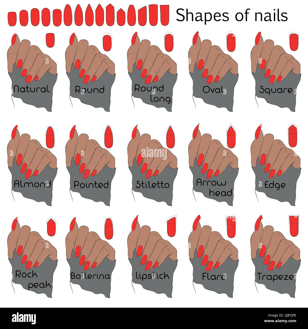 Shapes of nails. Color illustration for professional manicure with ...