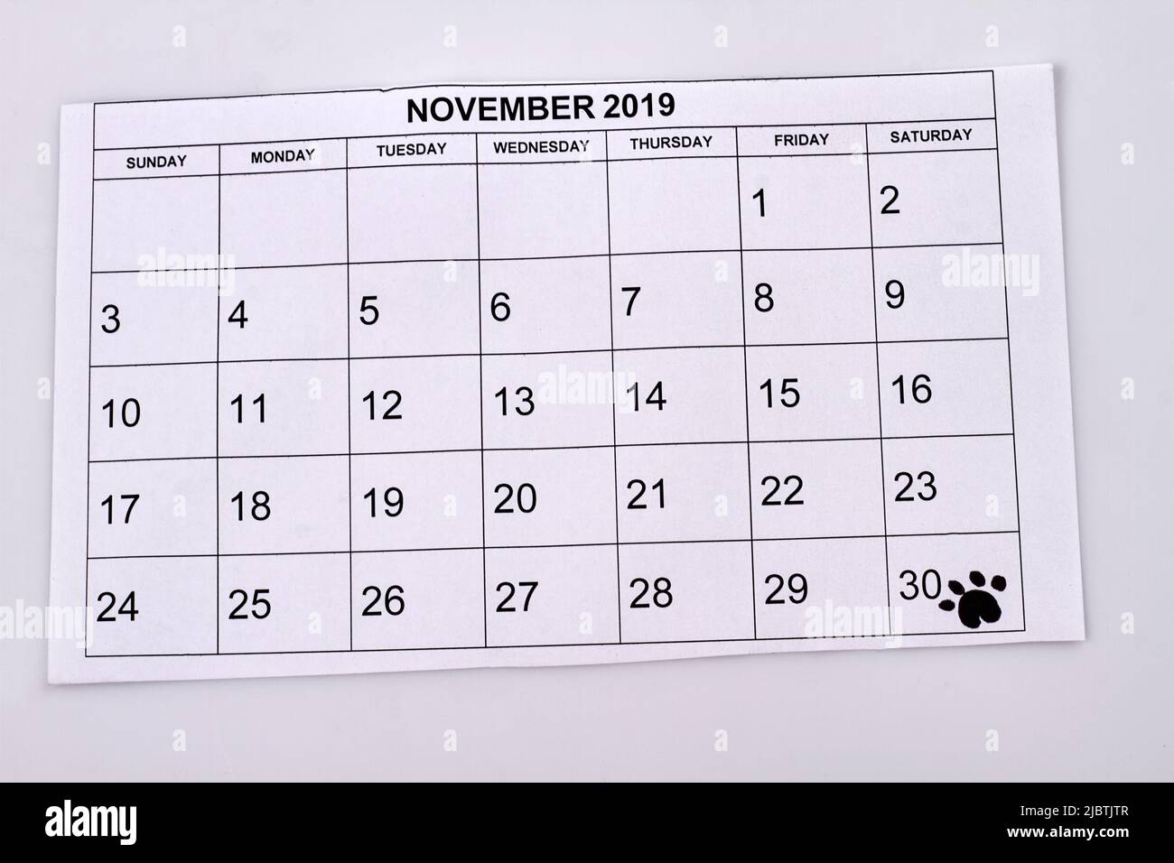 30 of november marked in paper calendar by dog paw mark. International ...