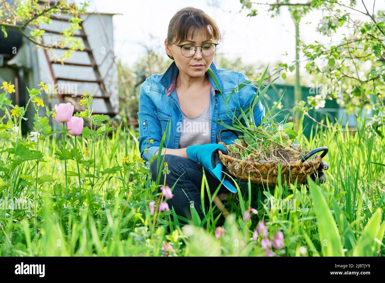 Woman in gloves with shovel weeding spring flower bed from weeds Stock Photo - Alamy