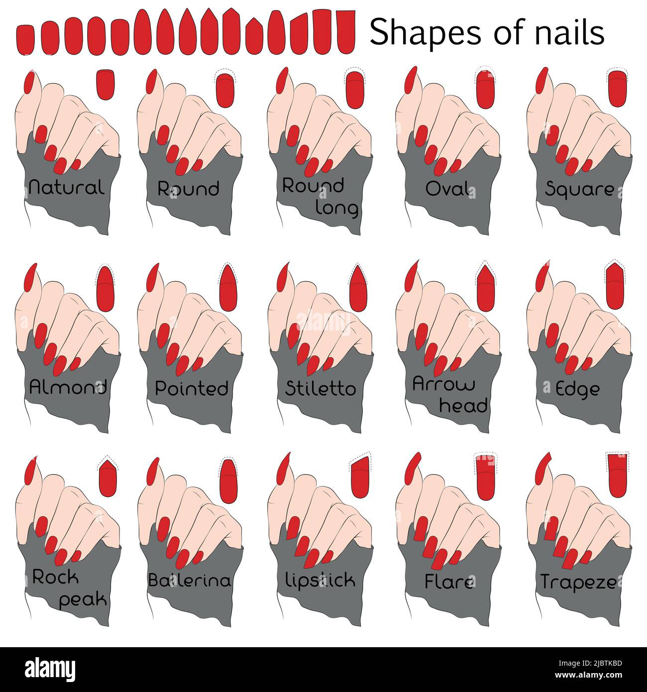 Shapes of nails. Color illustration for professional manicure with ...