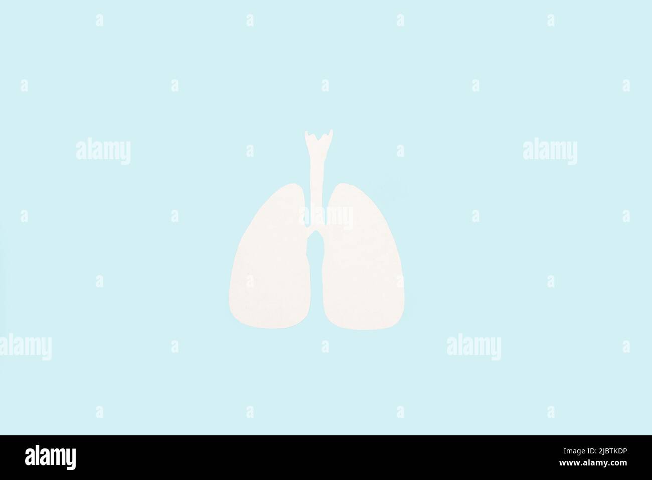 Human respiratory system hi-res stock photography and images - Alamy