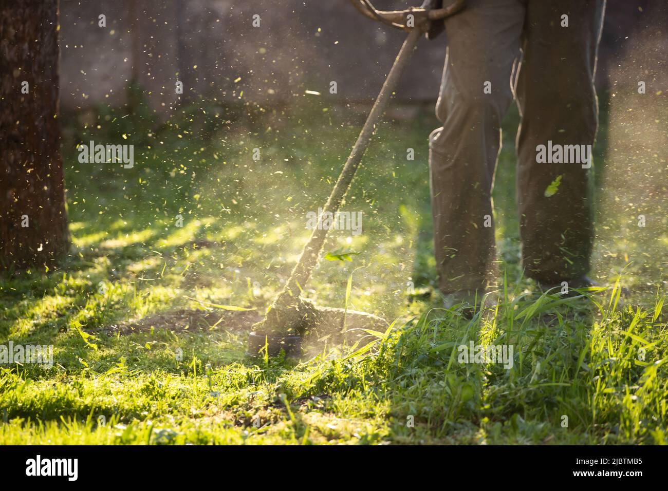 Mowing the grass with a lawn mower. Garden work concept background ...