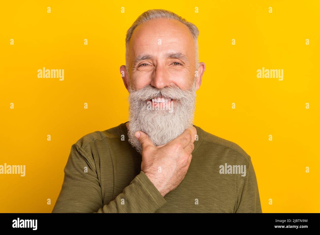 Photo of handsome elderly grandpa touch well-groomed beard wear green ...