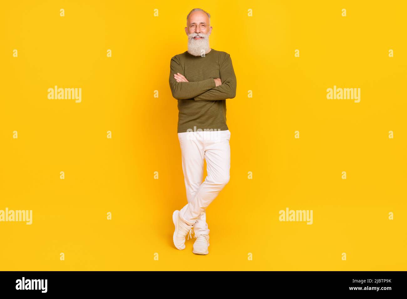 Full length body size view of attractive cheery grey-haired man posing ...