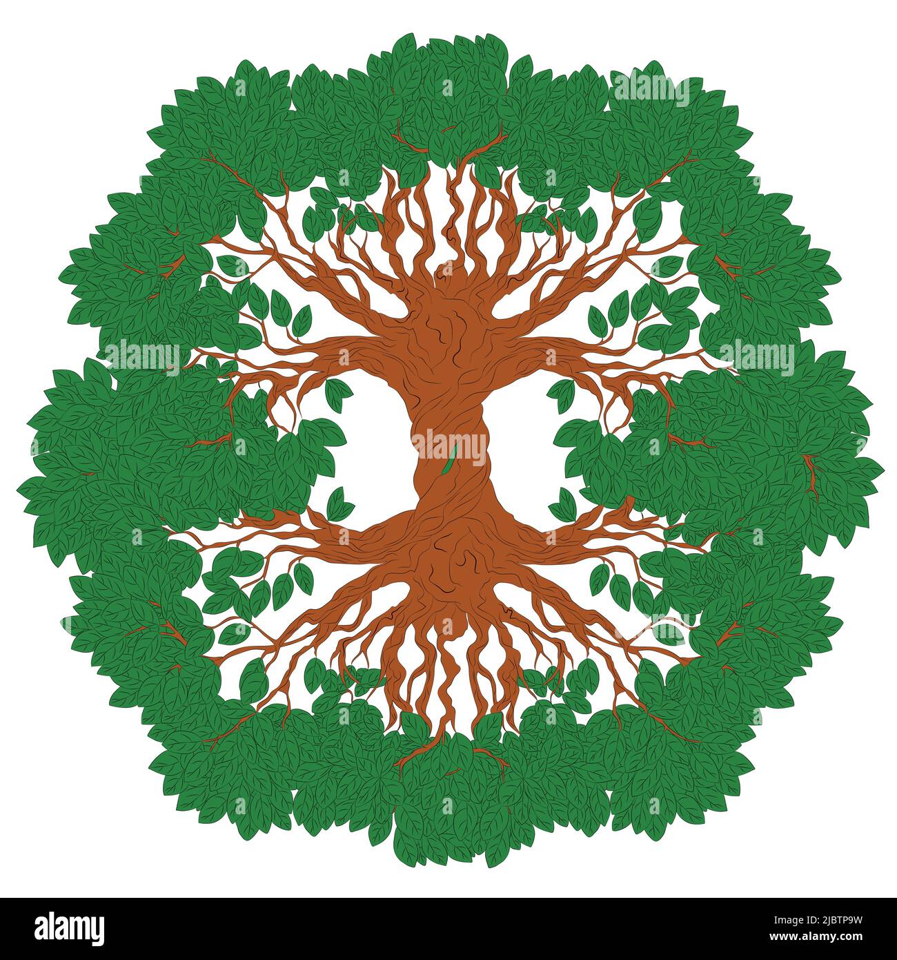 Yggdrasil tree. Celtic symbol of the ancient Vikings. The symbol of the ...