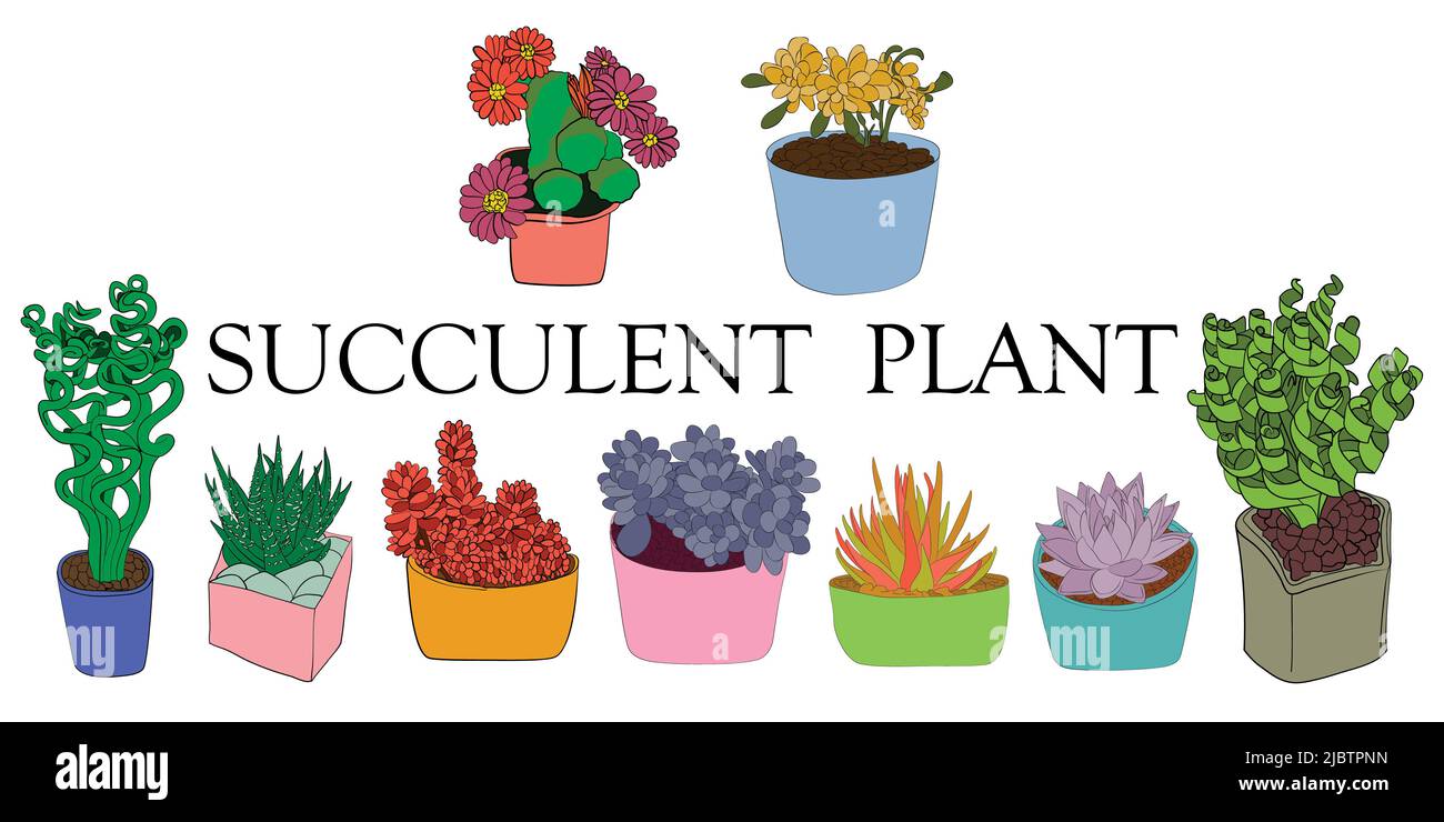 Hand drawn collection cactus Stock Vector Images - Alamy