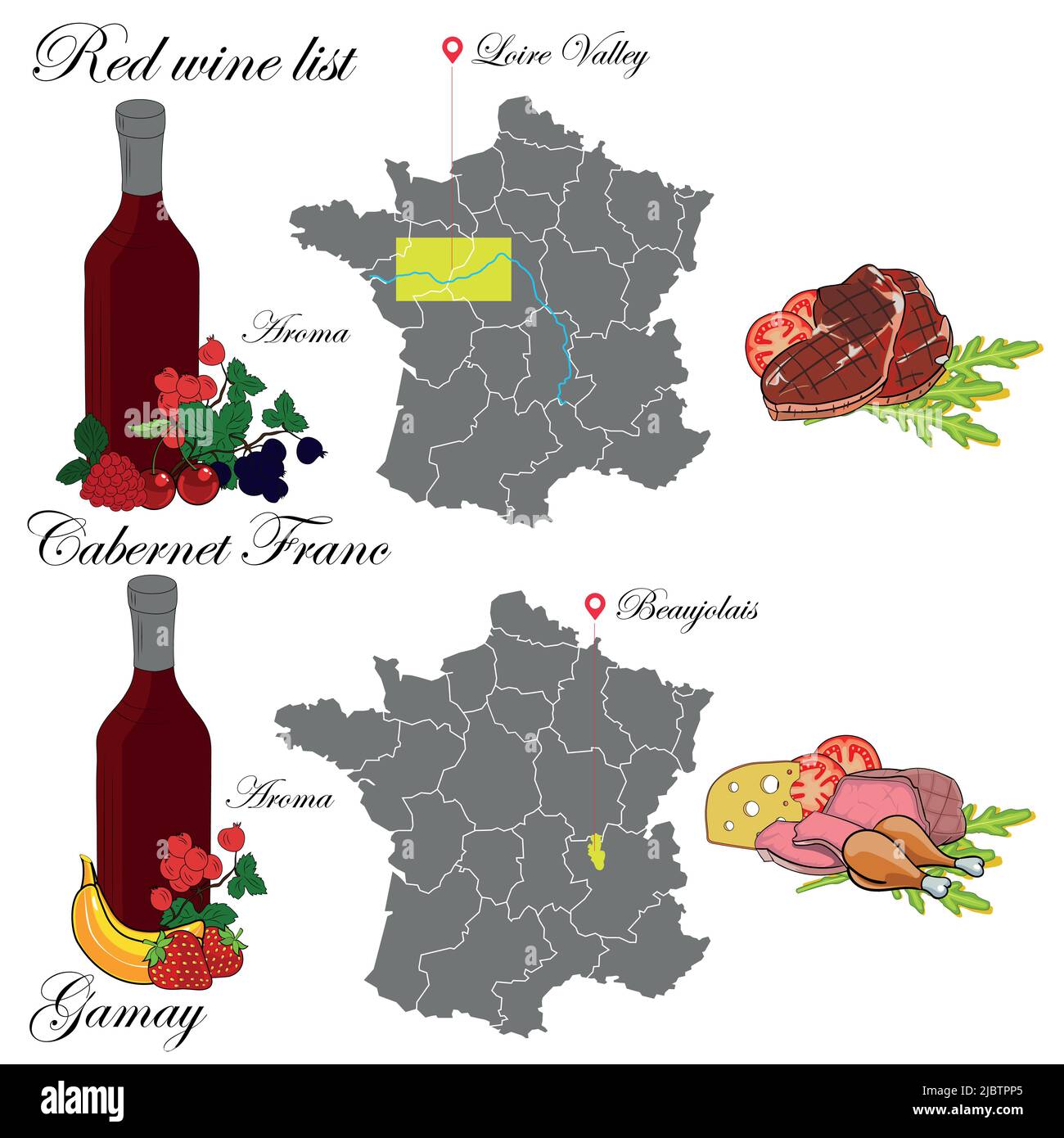 Cabernet Franc and Gamay. The wine list. An illustration of a red wine ...
