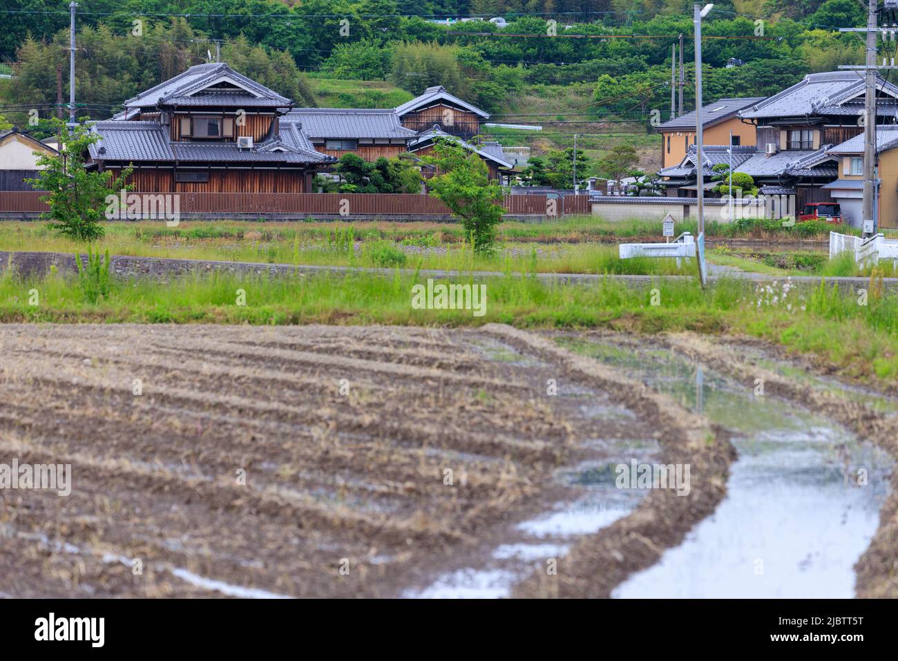 Water between rows in unplanted field next to traditional Japanese ...