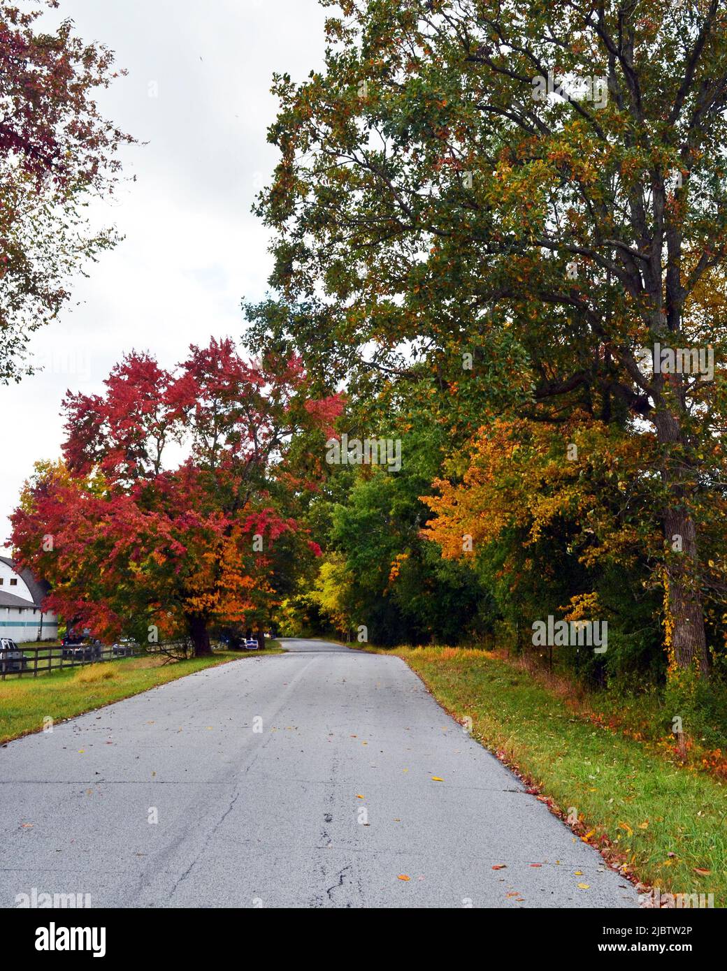 Country road in autumn Stock Photo - Alamy