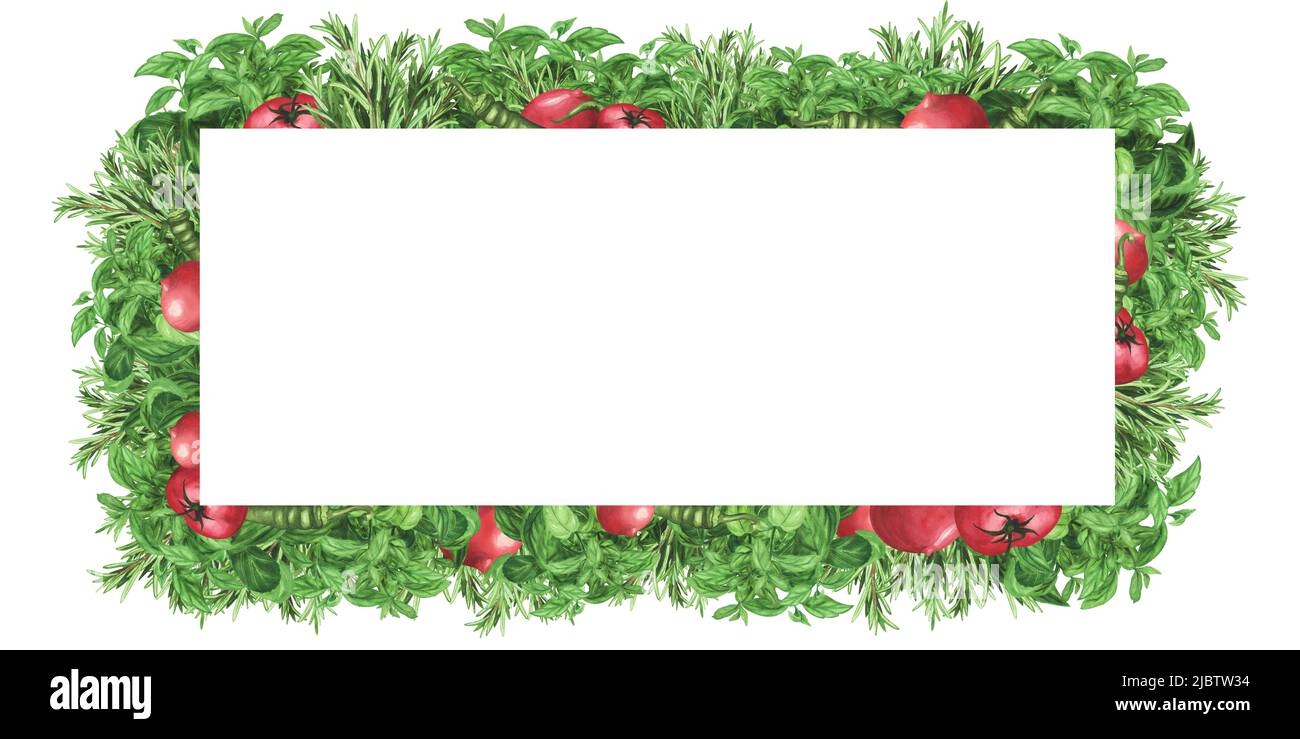 Frame Border with fresh herbs basil, rosemary, ripe tomatoes, chili ...