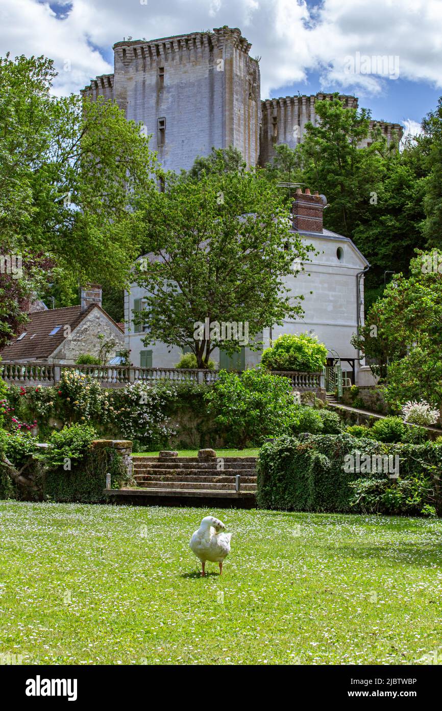 La Ferté-Milon, Aisne, France Stock Photo - Alamy