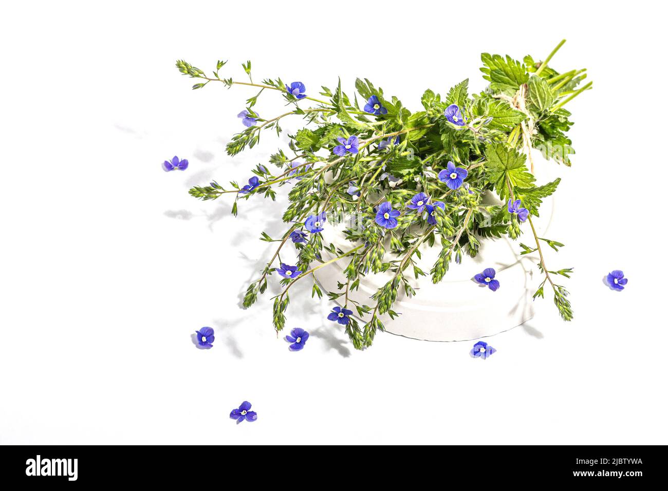 Blue forget me not flowers bouquet on trendy stand isolated on a white ...