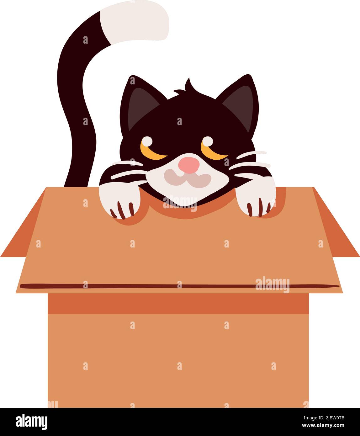 black cat in the box Stock Vector Image & Art - Alamy