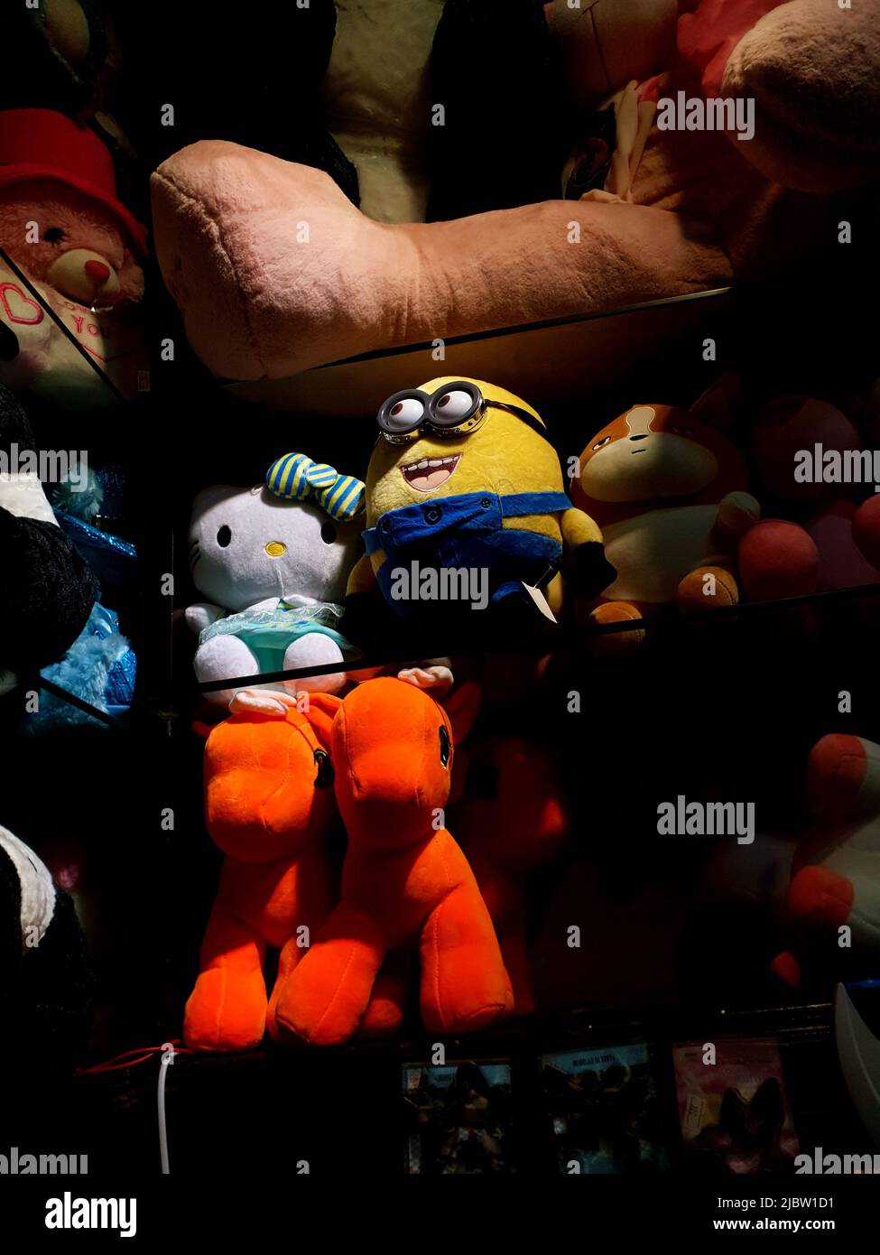Portrait pictures of teddy bears of different colors Stock Photo - Alamy