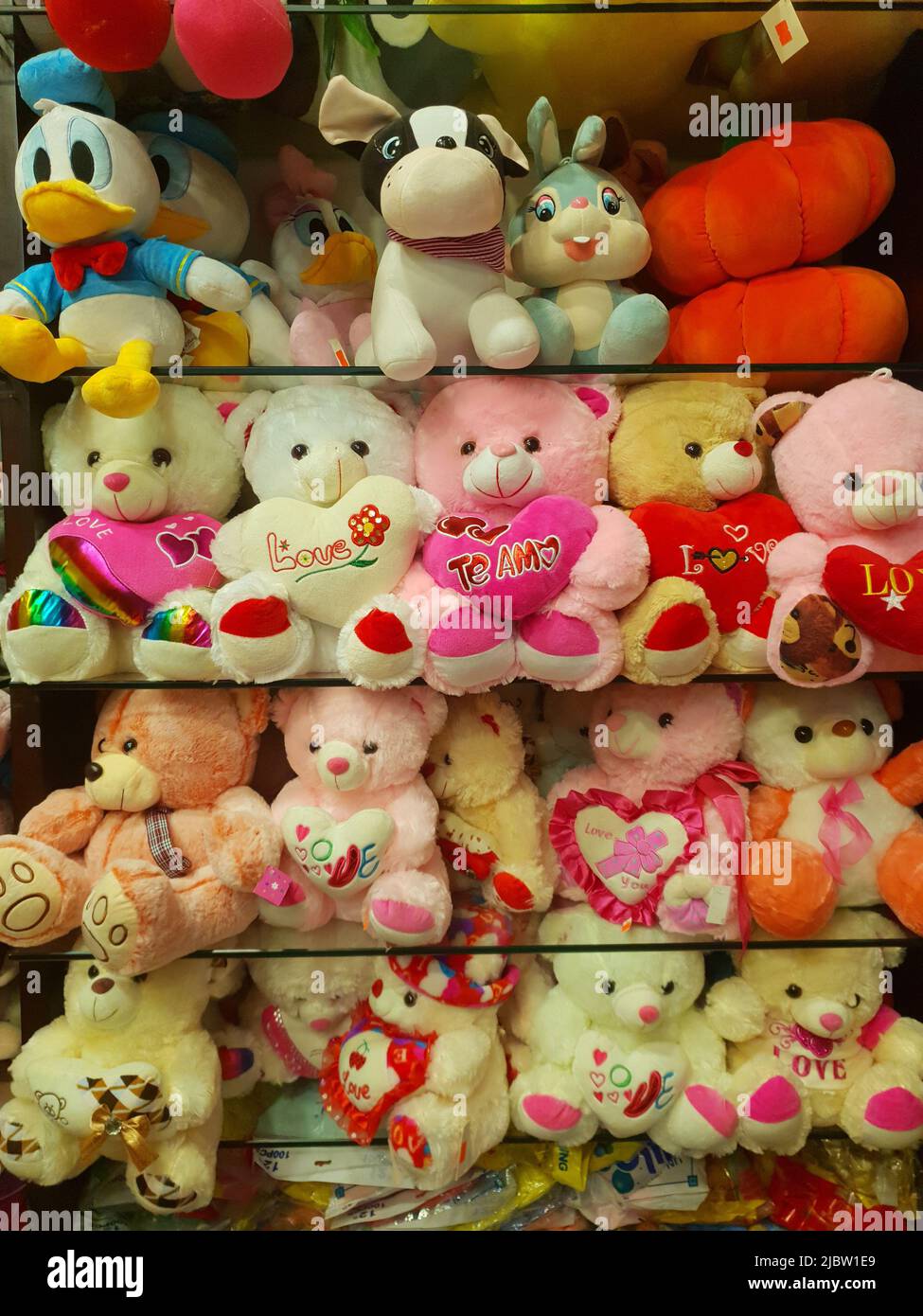 Portrait pictures of teddy bears of different colors Stock Photo - Alamy