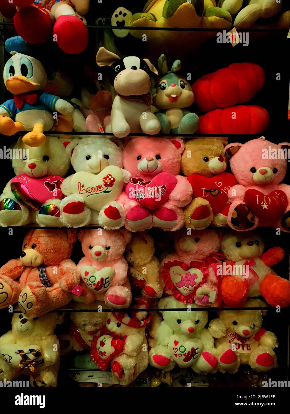 Portrait pictures of teddy bears of different colors Stock Photo - Alamy