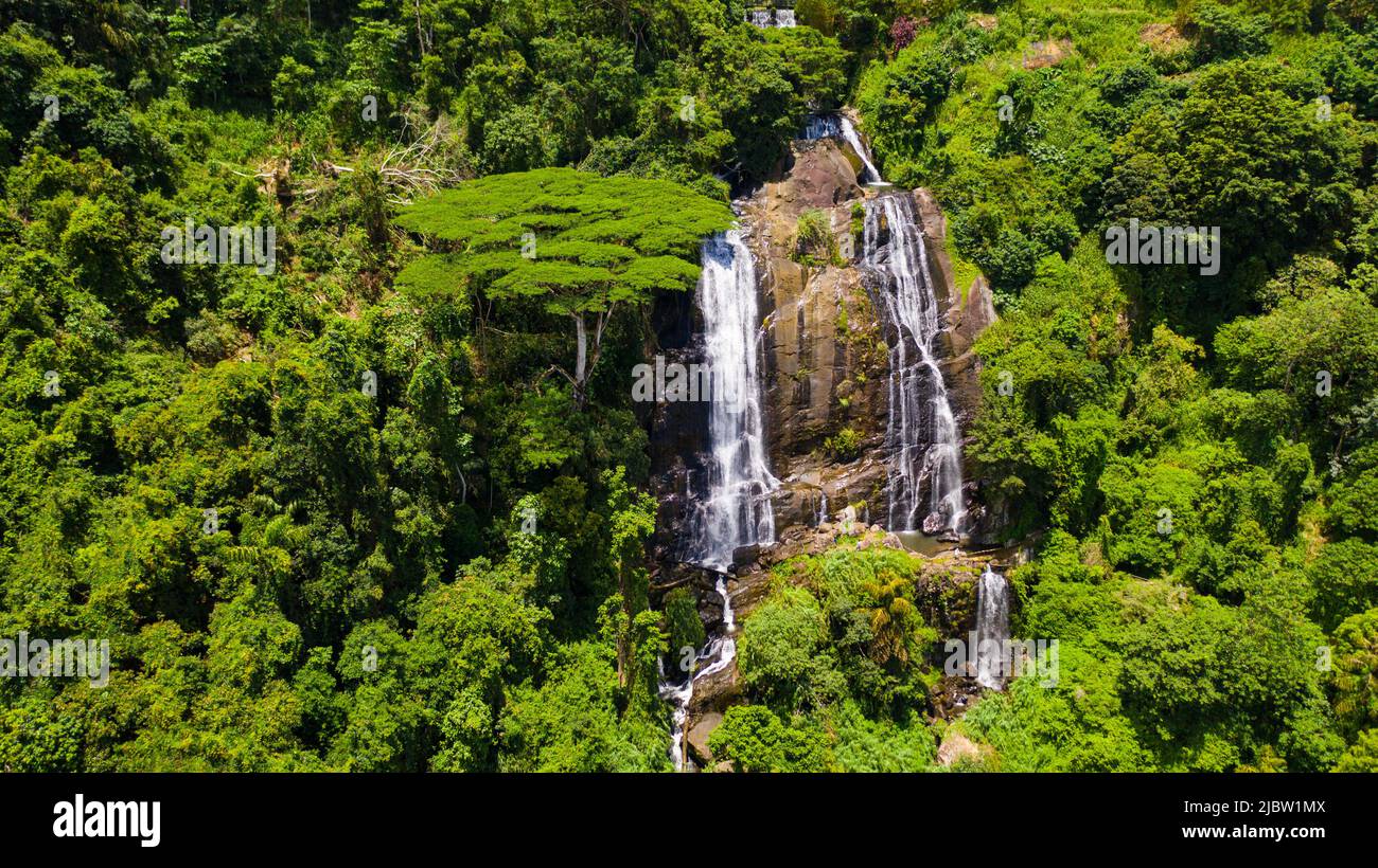Waterfall in the green forest. Hunas Falls in the jungle. Hunnasgiriya ...
