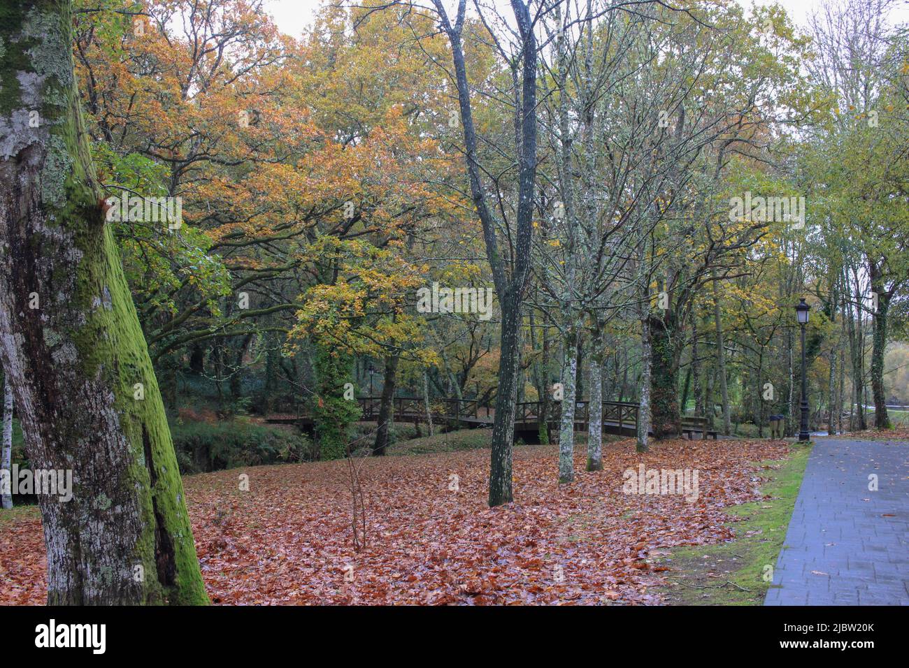 a fall scenario never fails to be a romantic place to be Stock Photo ...