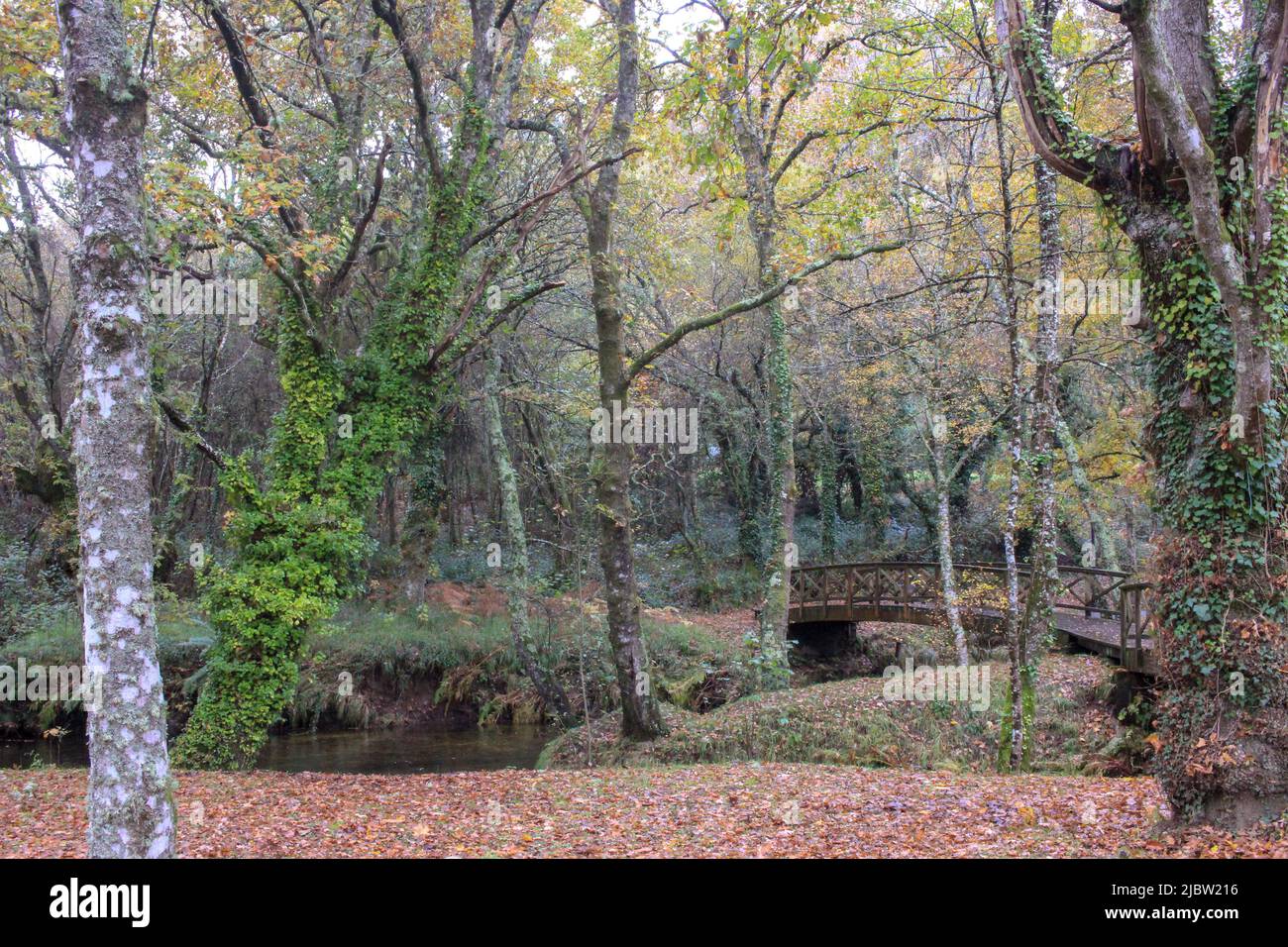 a fall scenario never fails to be a romantic place to be Stock Photo ...
