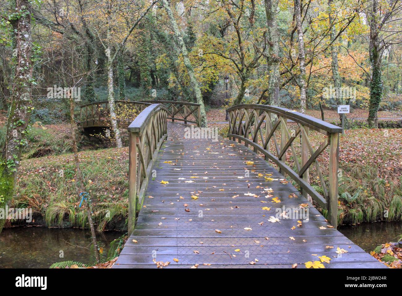 walking through nature during fall is always a colorful adventure Stock ...