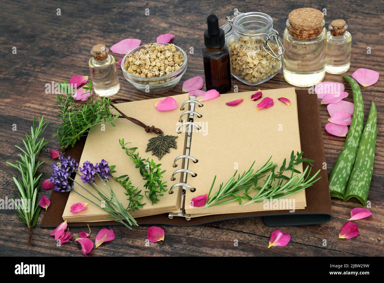 Natural herbal plant based medicine with herbs and flowers for plant ...