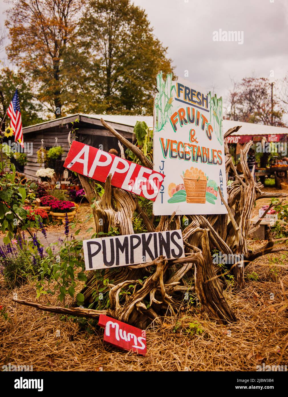 Signs for a Fruit and vegetable stand outside a farm in Autumn Stock ...