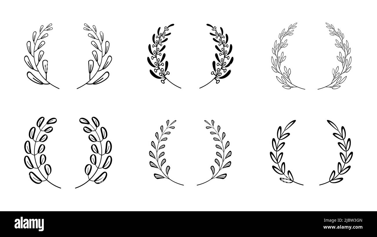 Laurels vector set. Set of different linear laurel leaves. Wheat and ...