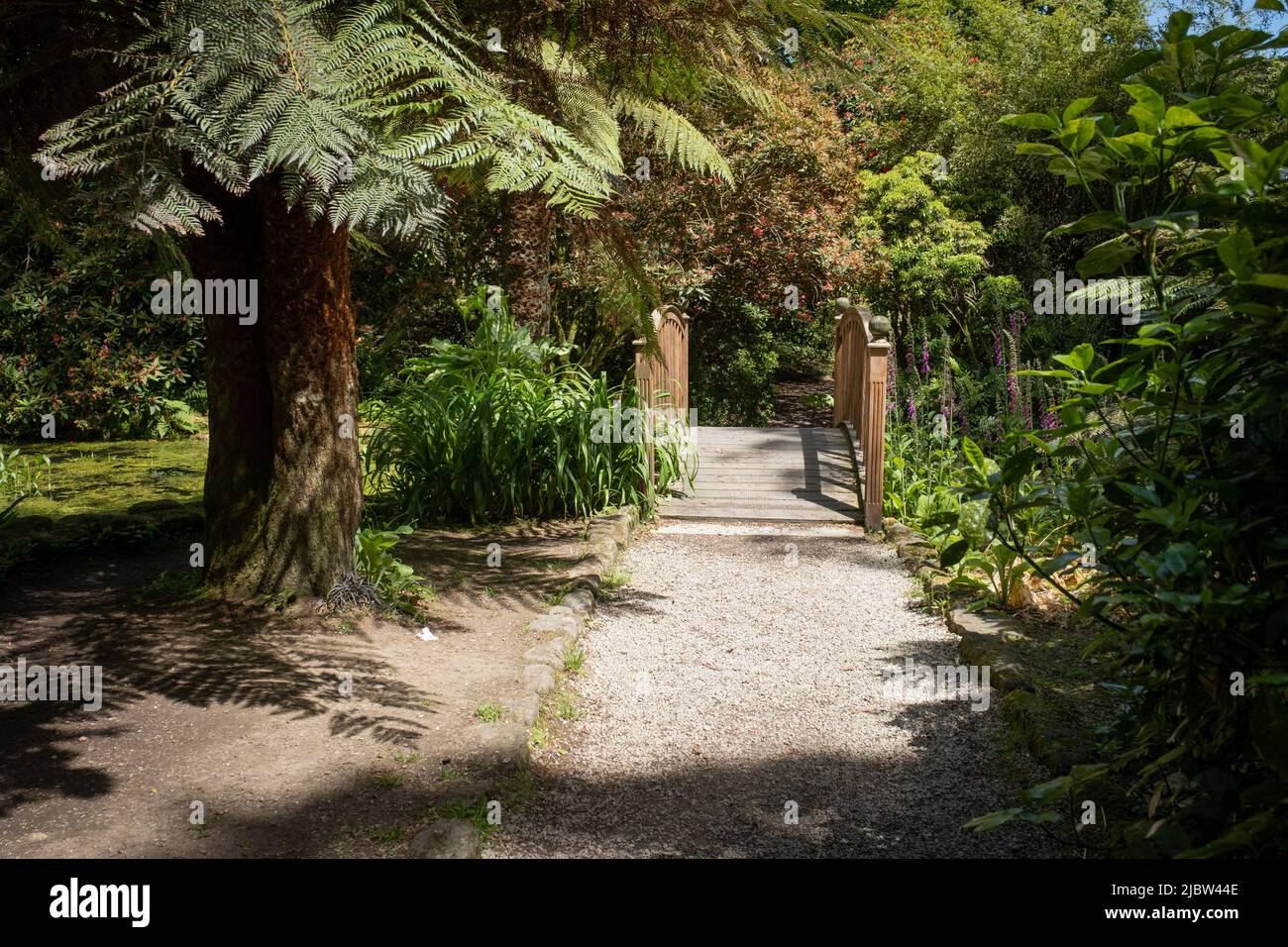 The fern arch hi-res stock photography and images - Alamy