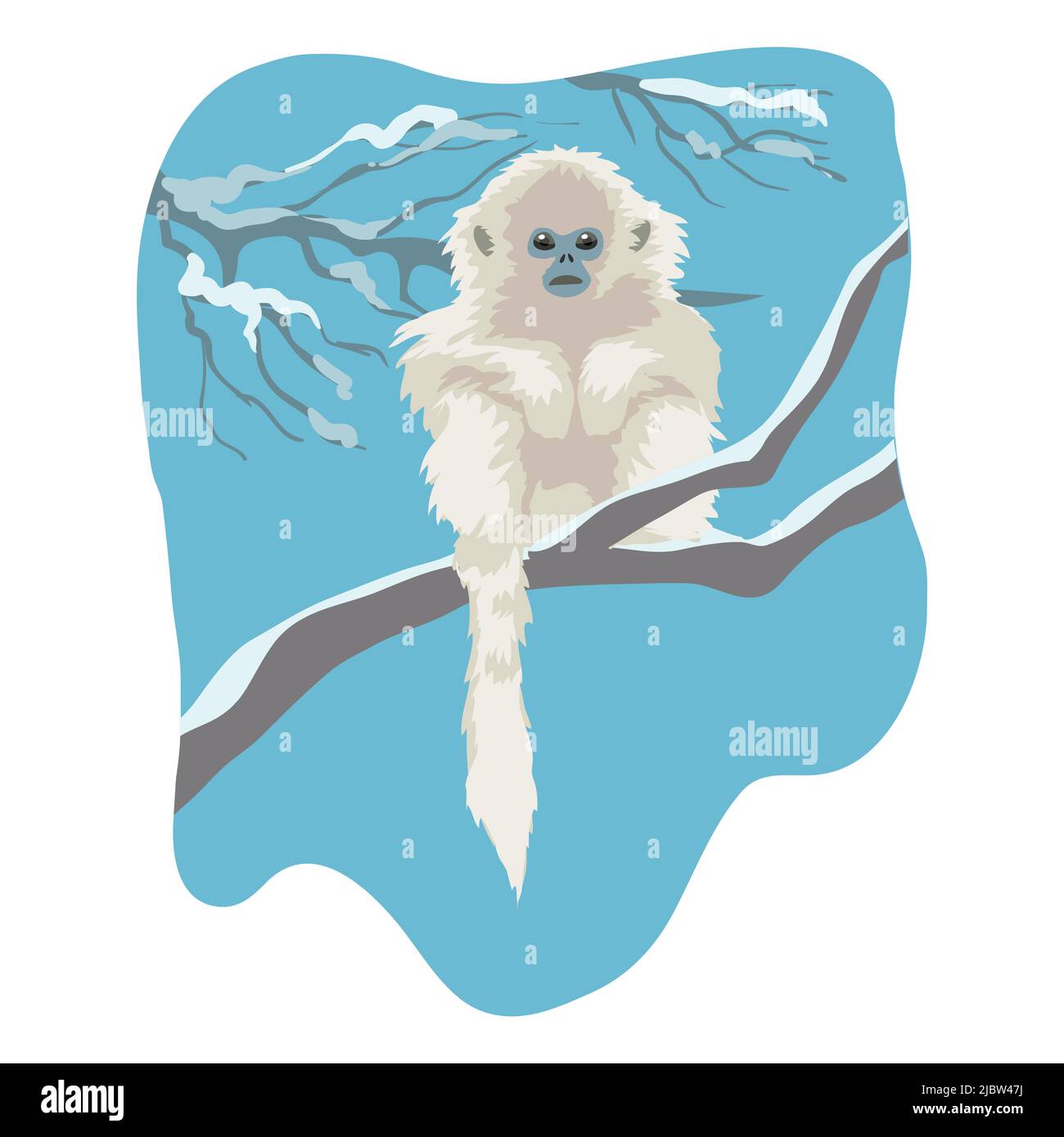 Snow monkey illustration Stock Vector Image & Art - Alamy