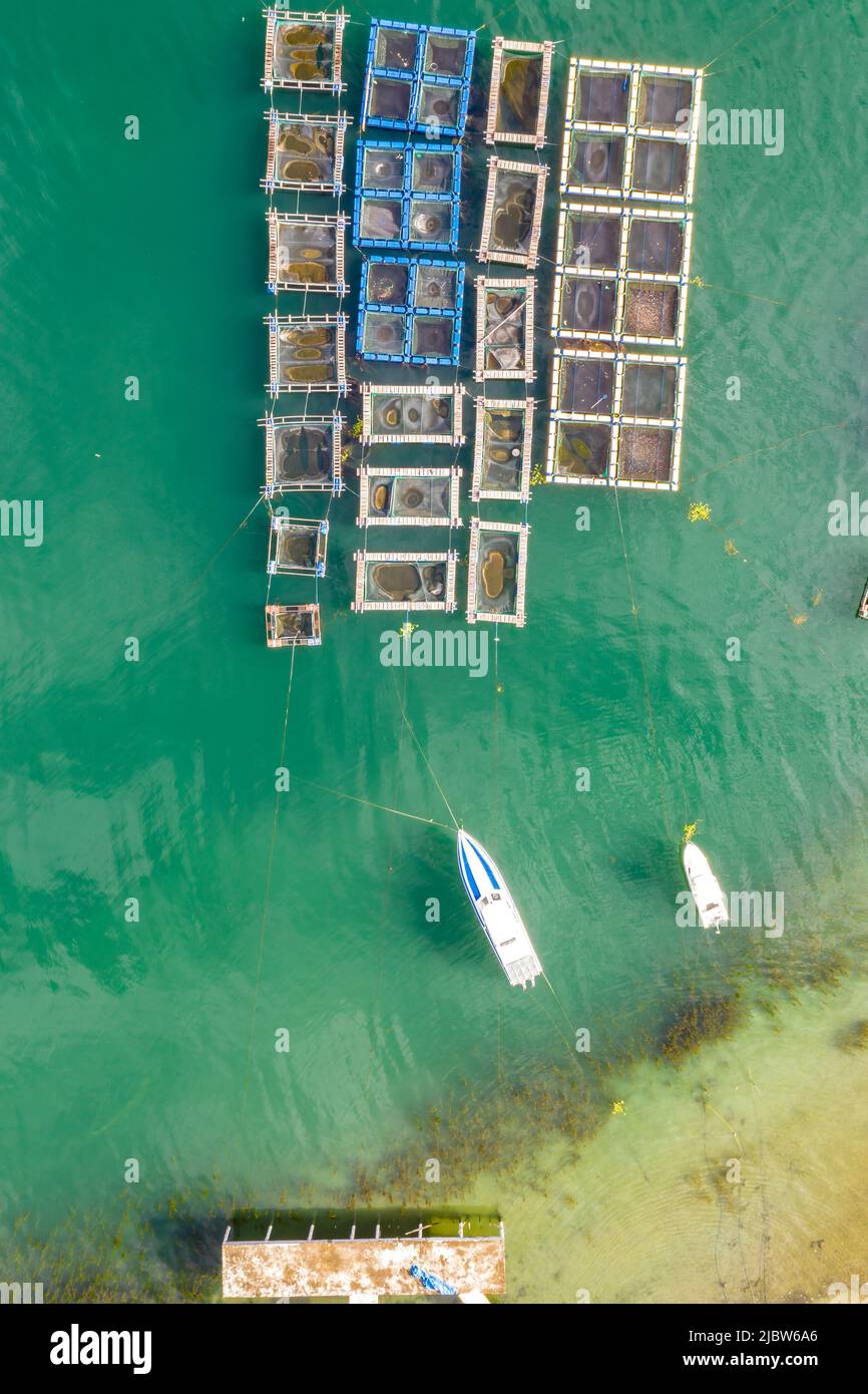 Fish farms on Toba lake, Indonesia Stock Photo - Alamy