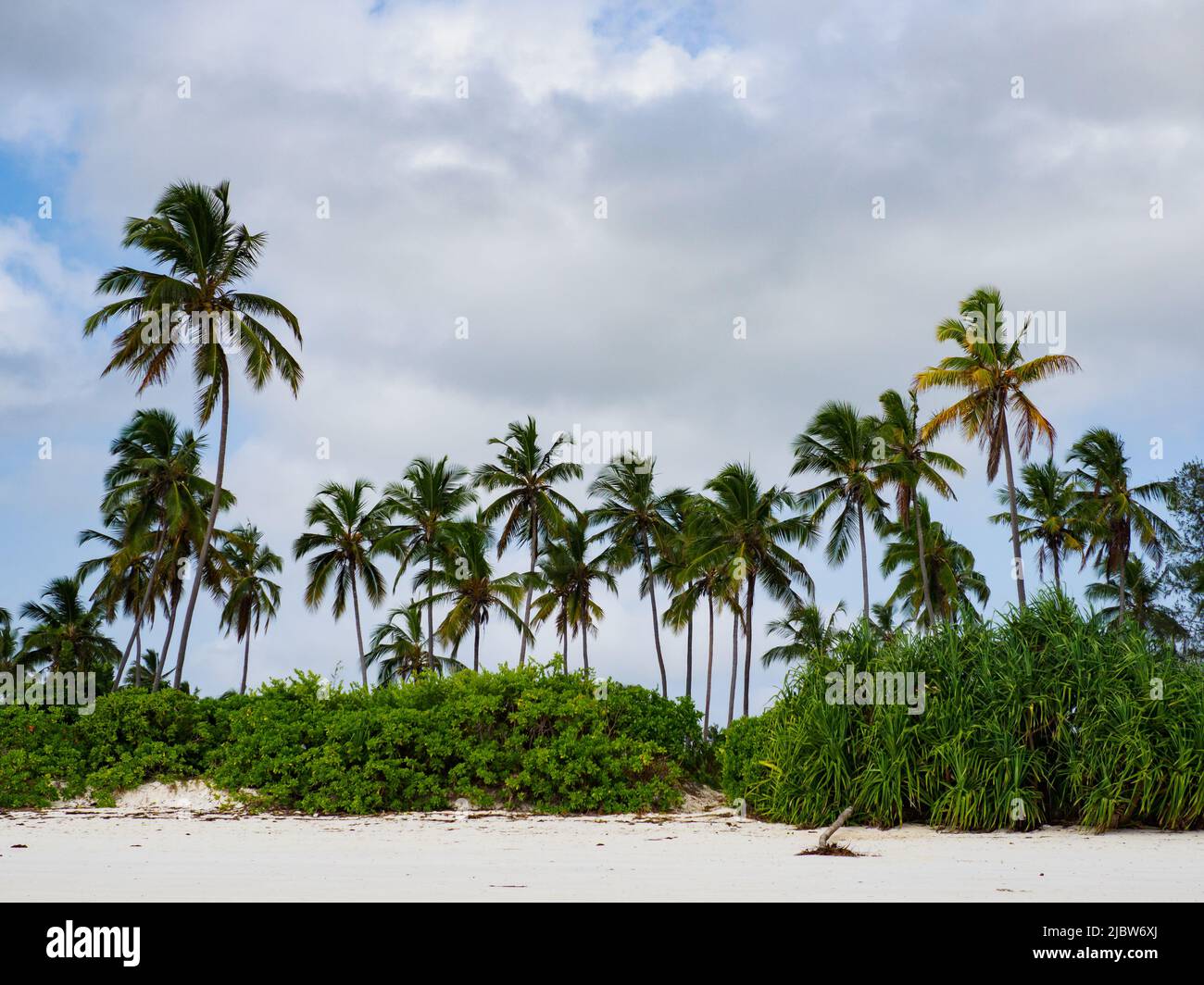 Beautiful sandy beach in Matemwe, Zanzibar, Tanzania, Africa Stock ...