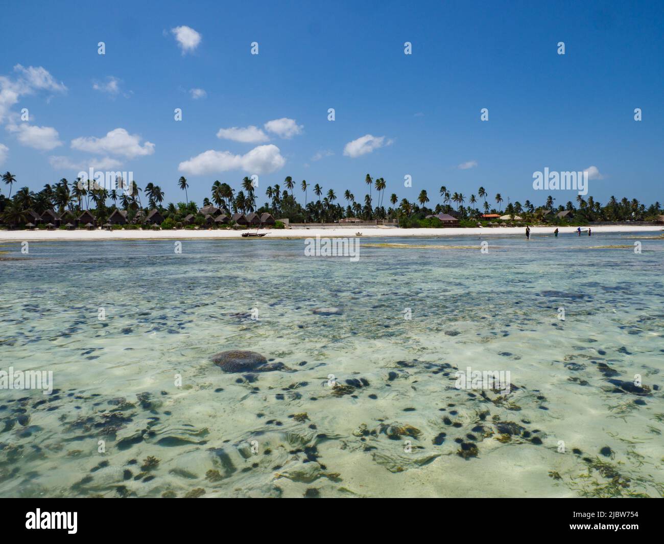 The shore of the ocean along the beach at low tide as seen from the ...