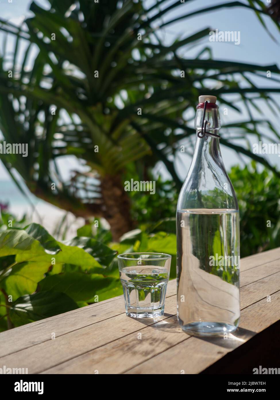 A bottle and a glass with water on the background of a palm tree in ...