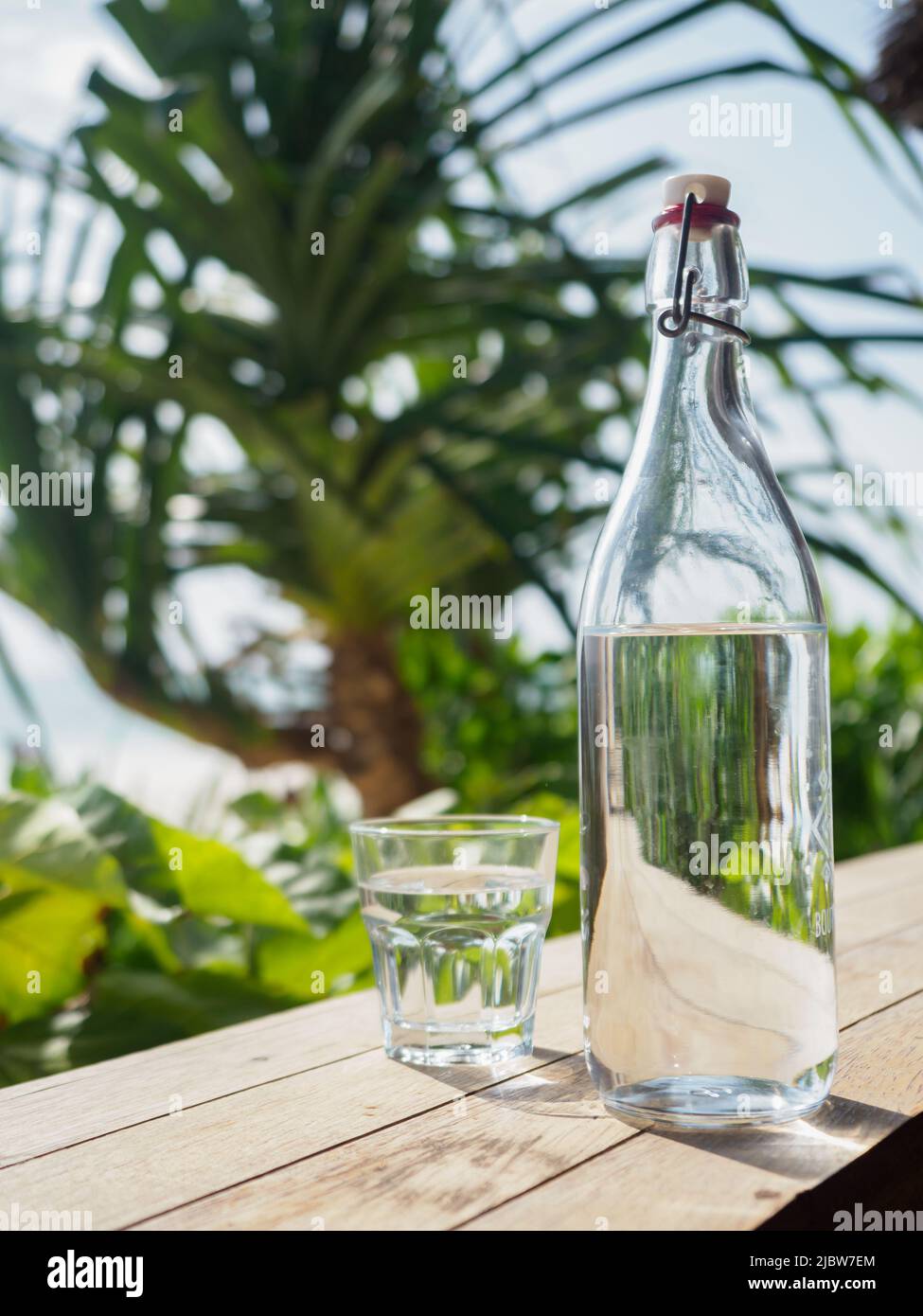 A bottle and a glass with water on the background of a palm tree in ...