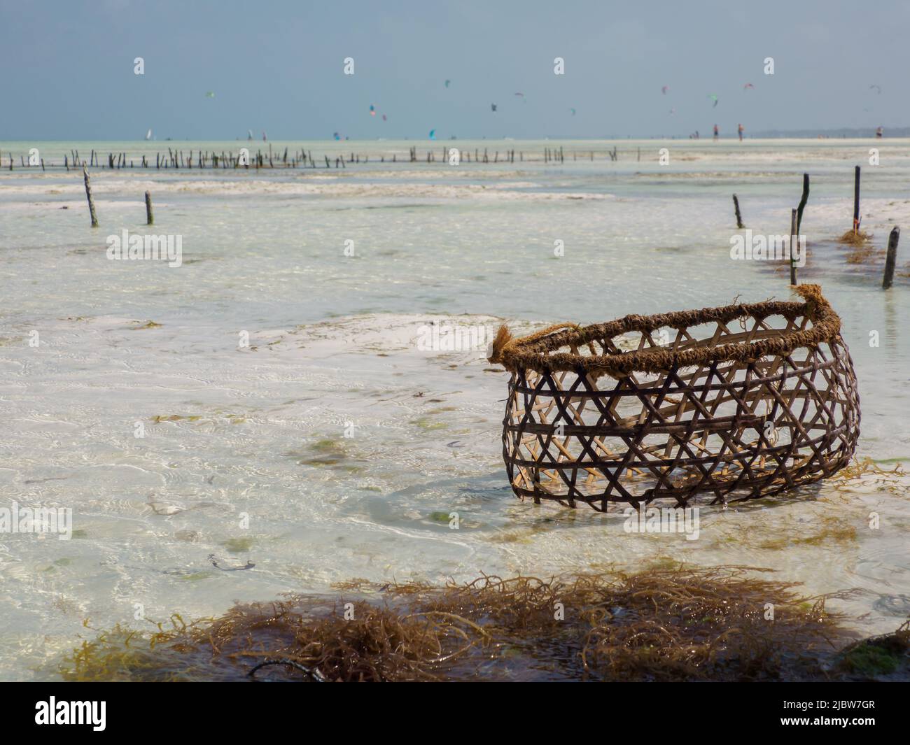 A seaweed collection basket at a seaweed plantation at the Indian Ocean ...