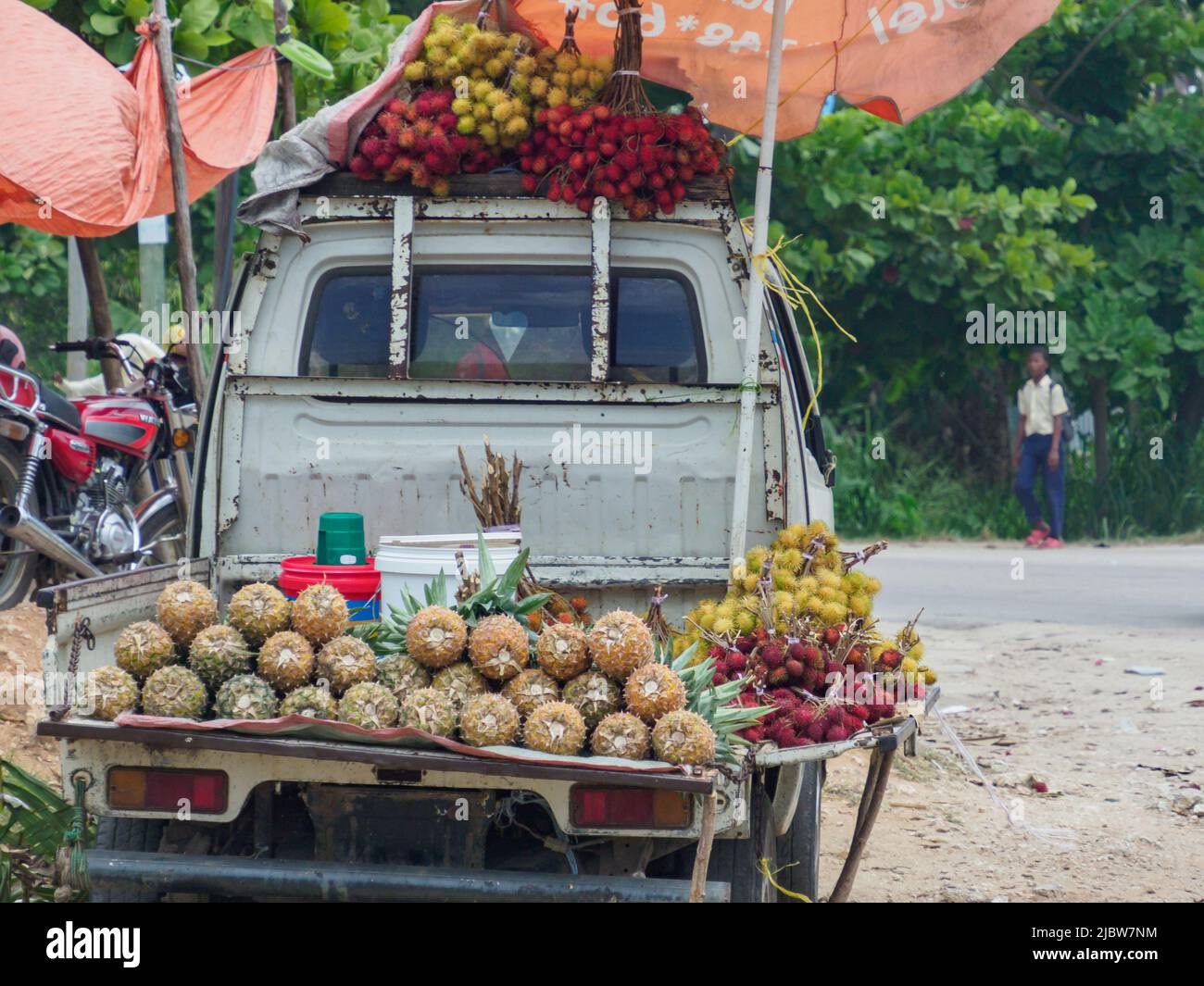 Zanzibar, Tanzania - Feb, 2021: Plenty of cluster of red lychee fruits ... Zanzibar, Tanzania - Feb, 2021: Plenty of cluster of red lychee fruits ...