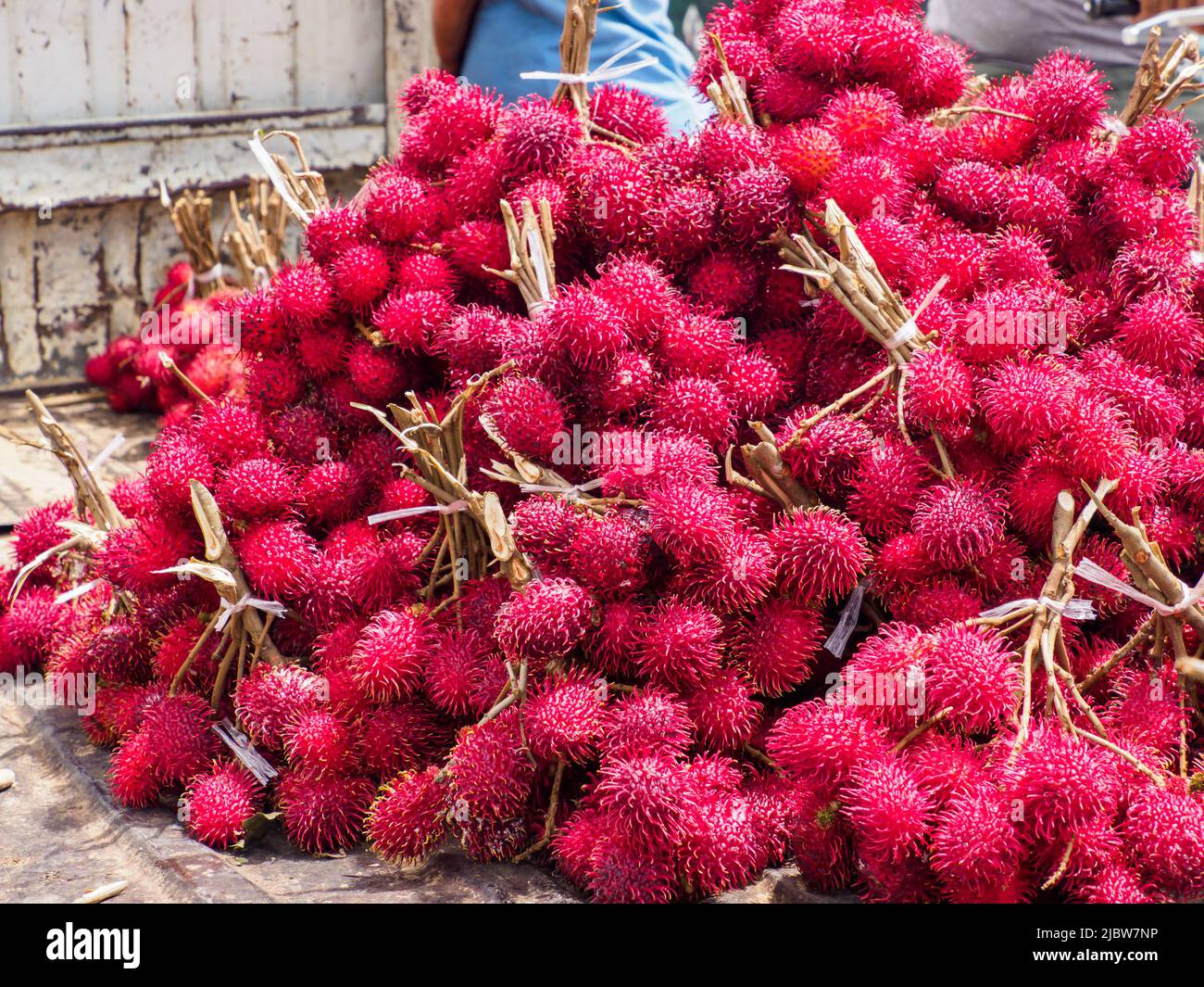 Family sapindaceae hi-res stock photography and images - Alamy