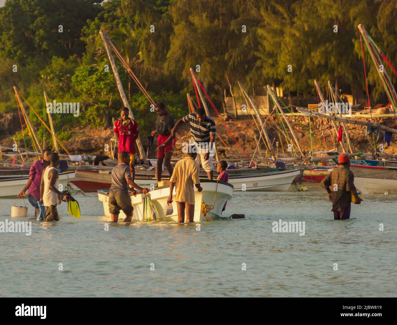Zanzibar, Tanzania - Jan, 2021: Fishermen collecting fish from wooden ...