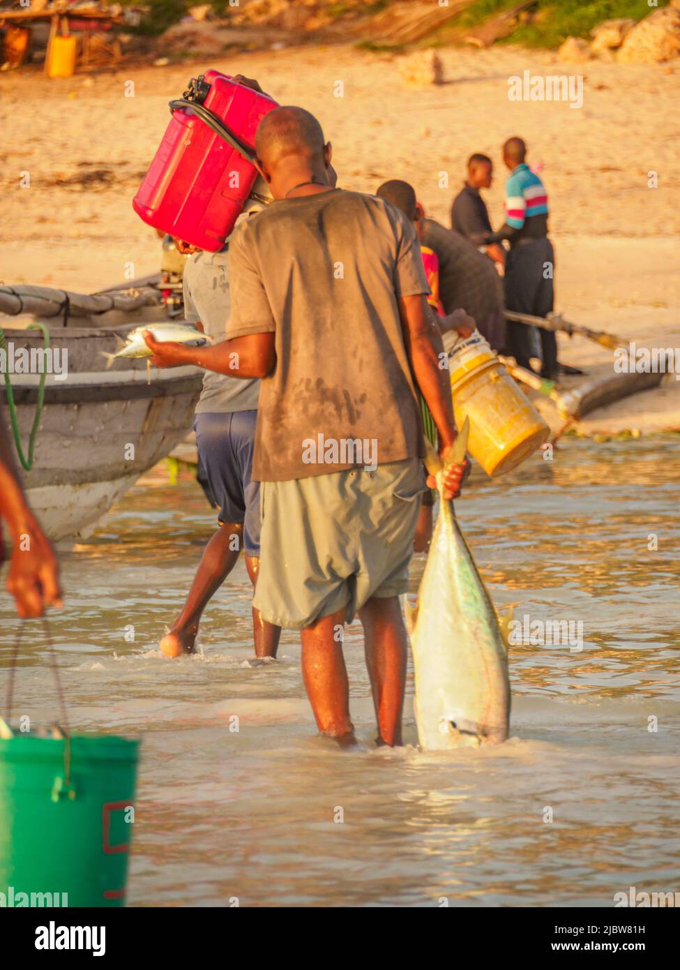 Man holding fish by its tail hi-res stock photography and images - Alamy