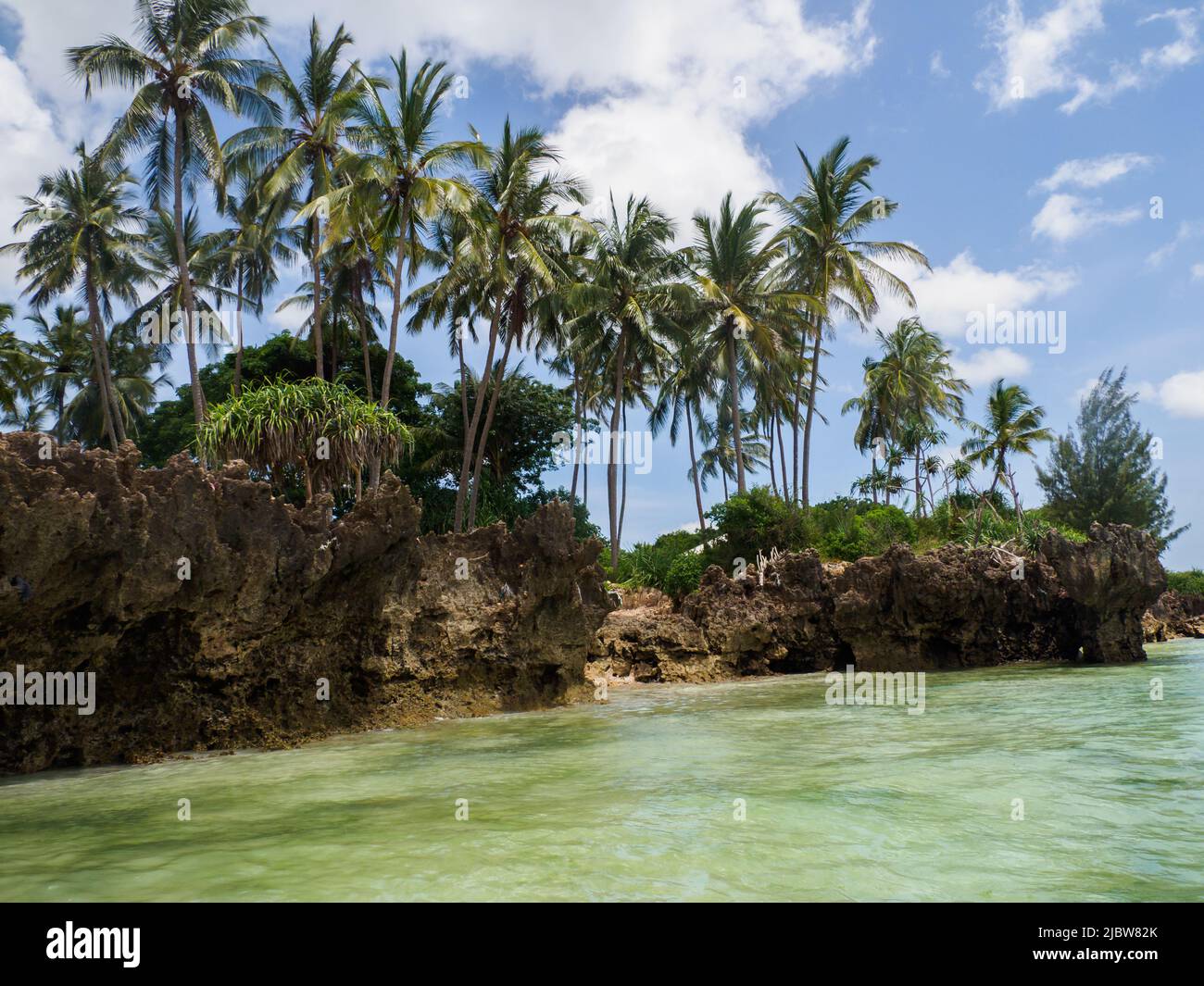 Palm trees on the cliff over the water of Indian ocean at the Menai Bay ...