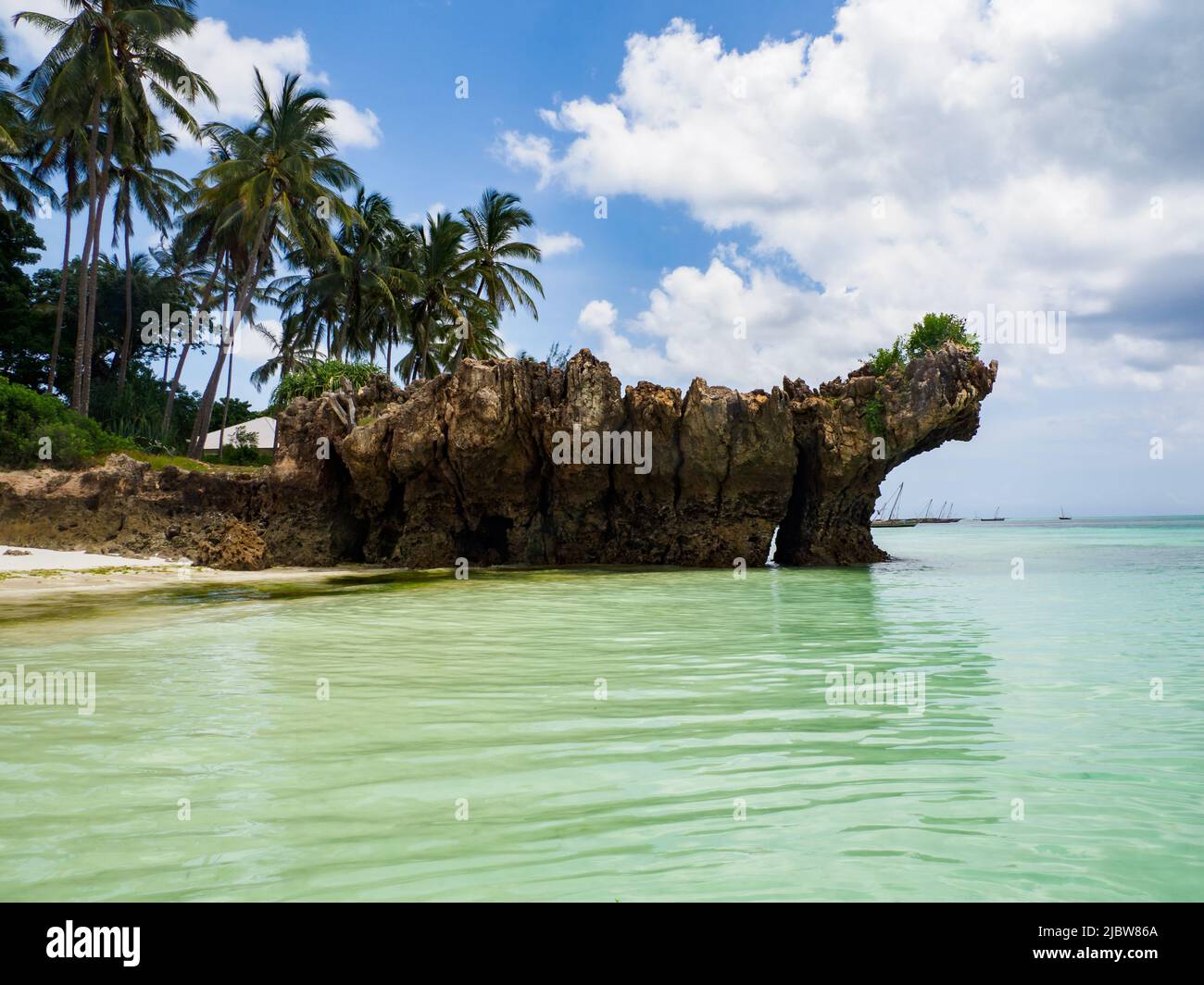 Palm trees on the cliff over the water of Indian ocean at the Menai Bay ...