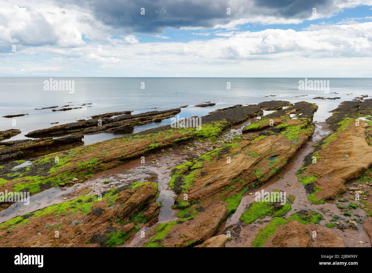 Seaweed covered rocks looking out to sea at Coryton Cove, Dawlish ...