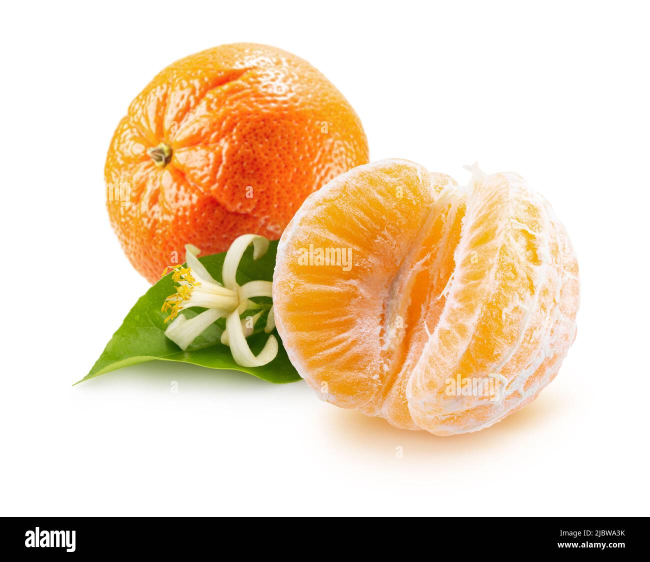 tangerines with blossom and green leaf with clipping path isolated on a ...