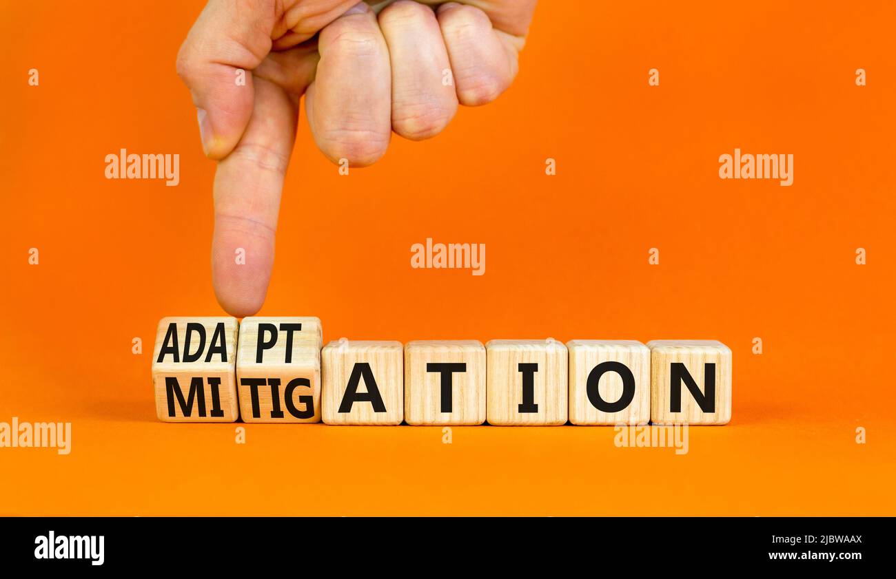 Adaptation or mitigation symbol. Businessman turns cubes and changes ...