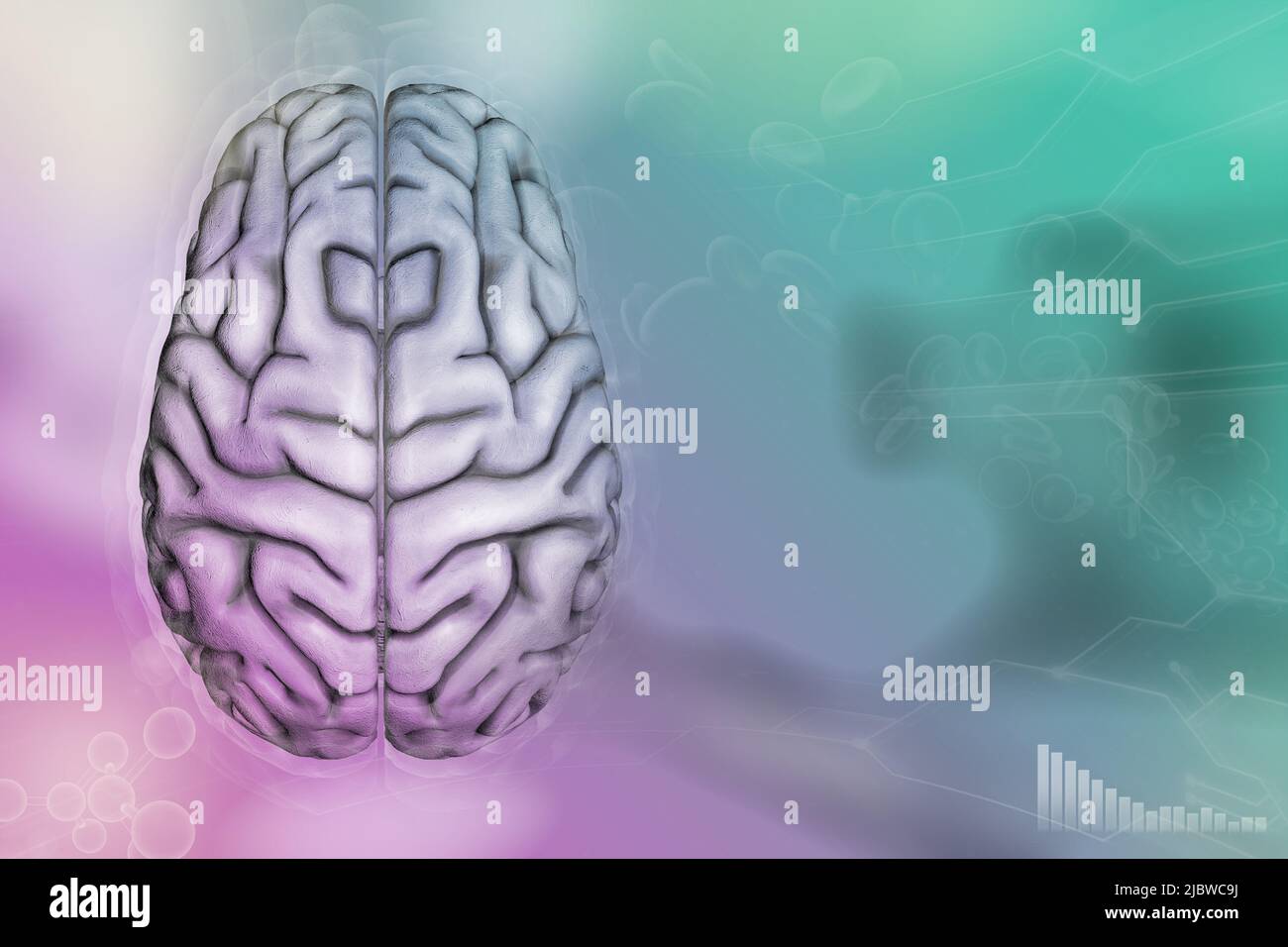 Medical 3D illustration - human brain, neurology discovery concept ...