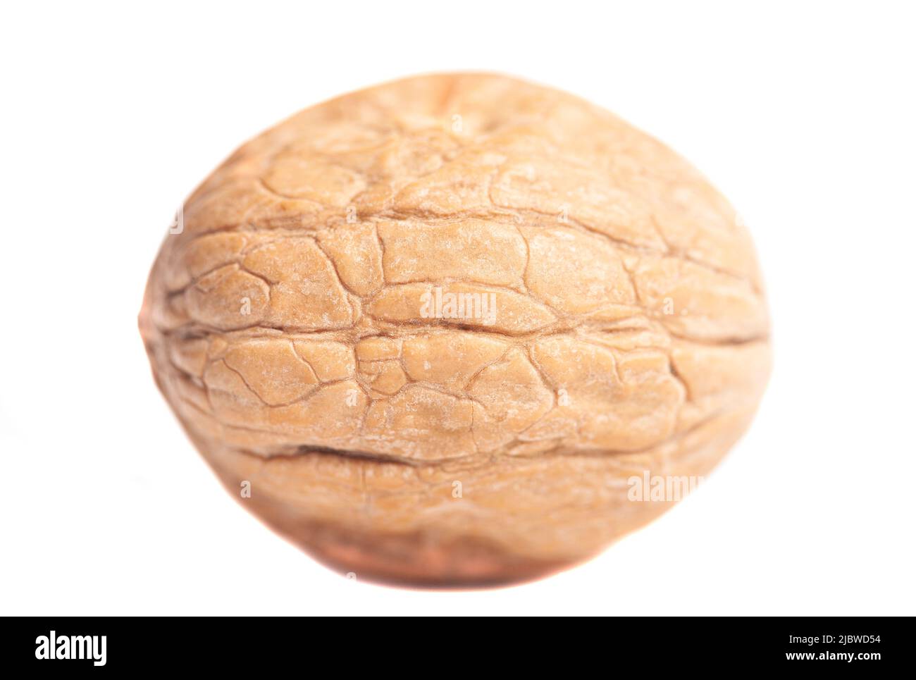 Walnut isolated on a white background Stock Photo - Alamy