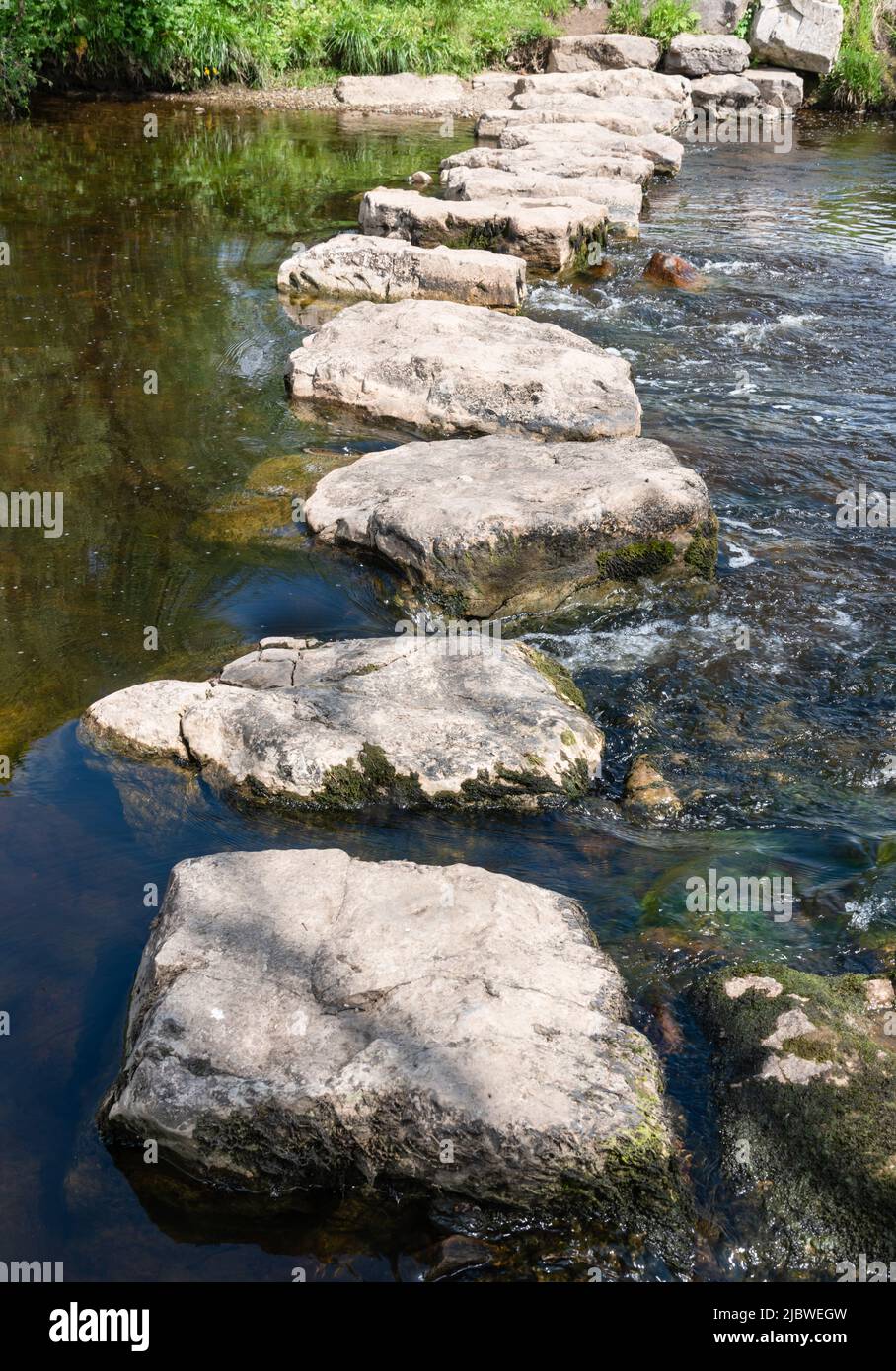 Stepping stones across the River Ure Stock Photo - Alamy